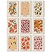 Amazon.com: Fruit Market Wall Art Print Set of 9, Abstract Colorful ...