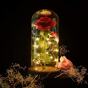 Amazon.com: SW Preserved Rose Enchanted Rose Red Silk Rose in Glass ...