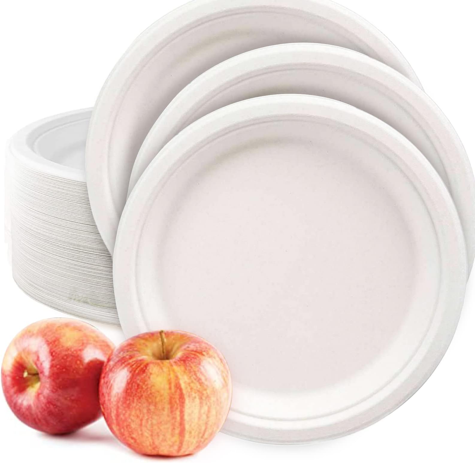 25cm (10") Large White Bagasse Plate - Fully Biodegradable ...