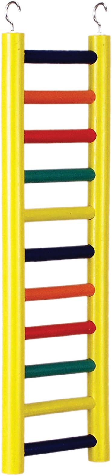 Amazon.com : You & Me Bird 12-Step Wood Bird Ladder, 23.5" L : Pet Supplies