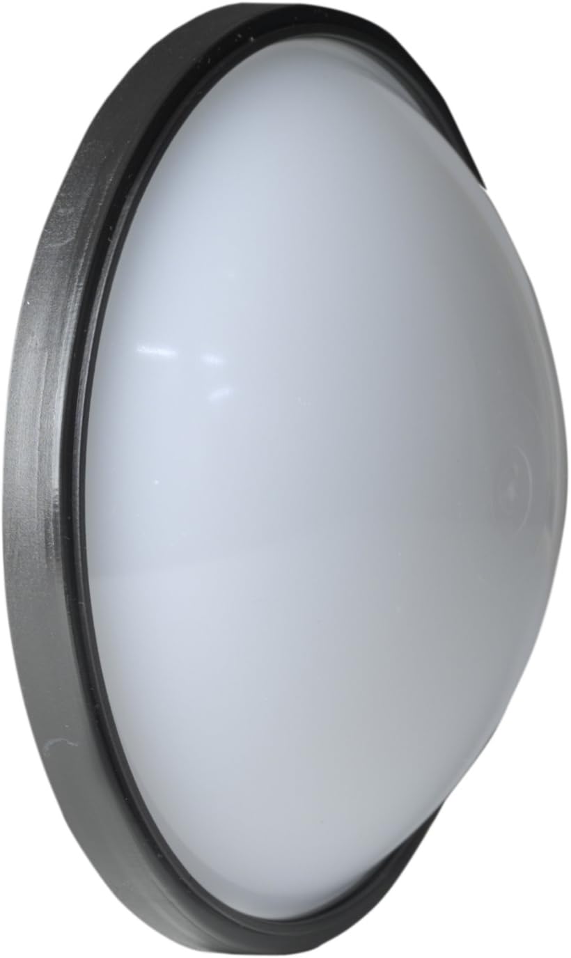 Amazon.com : Quantum Qflash T & X Series Wide Angle Diffuser for ...