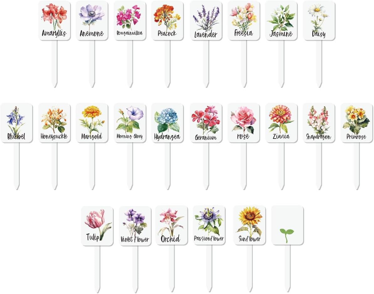 Amazon.com: Whaline 24Pcs Acrylic Flower Plant Label Signs 24 Styles ...