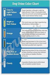 Nurse's Guide To Documenting Urine Color | MedShun