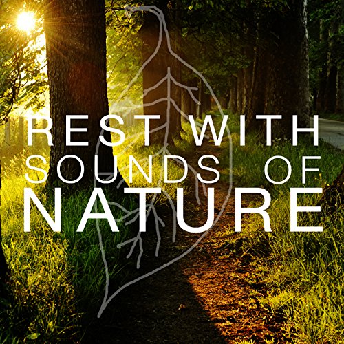 Amazon MusicでSounds of Nature RelaxationのRest with Sounds of Natureを再生する