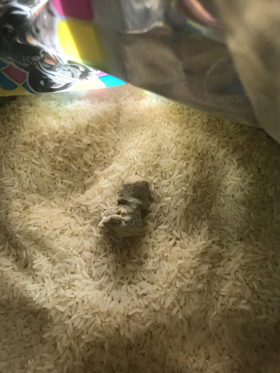 Gts Original Bullet Kolam Raw Rice, 10kg_ : Amazon.in: Grocery ...