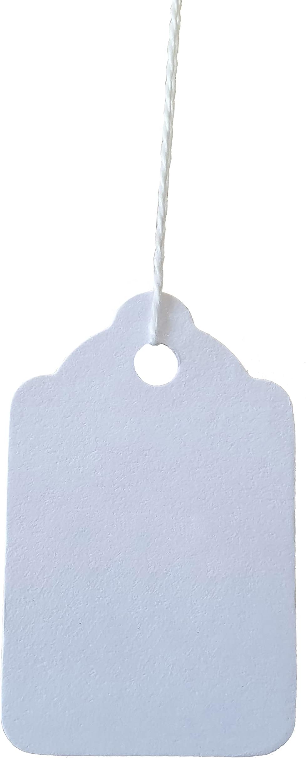 Just stationery 13 x 20 mm Pre Strung Tag (Pack of 200), White, 4257.0 ...