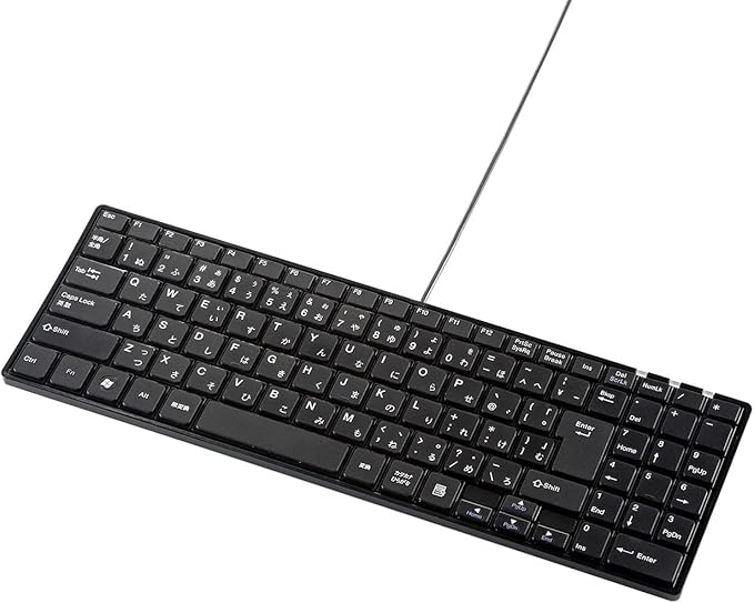 Amazon.com: Sanwa Supply SKB-SL17BKN USB Slim Keyboard, Pantograph ...