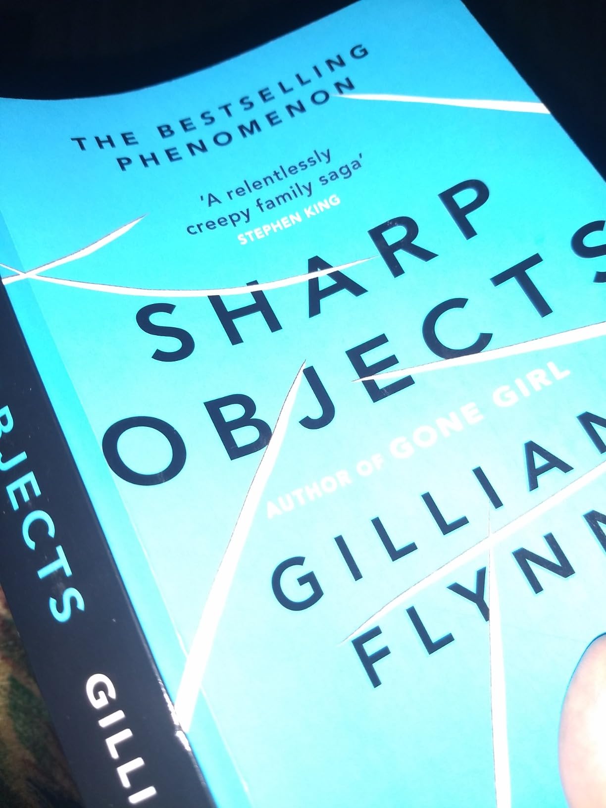 Sharp Objects: A Novel eBook : Flynn, Gillian: Amazon.in: Kindle Store