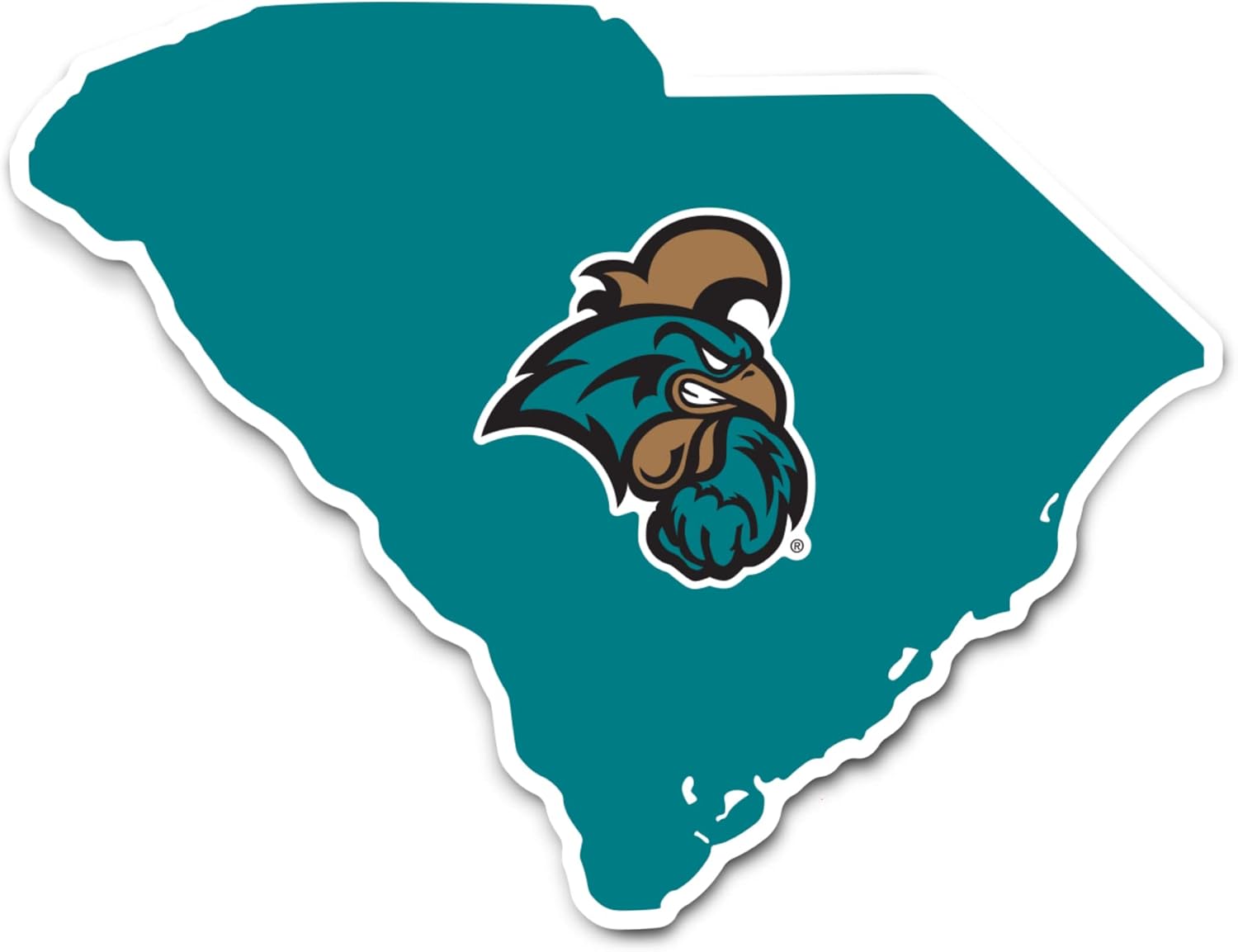 Amazon.com: Desert Cactus Coastal Carolina University Chanticleers CCU ...