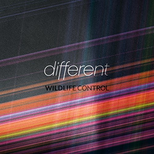 Play Different by Wildlife Control on Amazon Music