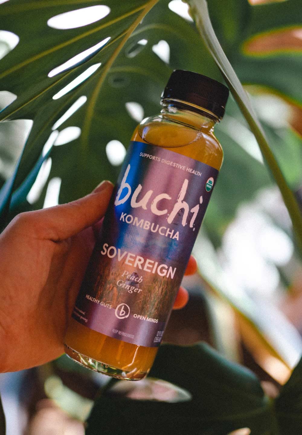 Buchi Kombucha Soberana jengibre melocotón y molasas 12 oz Pack de 6 ...