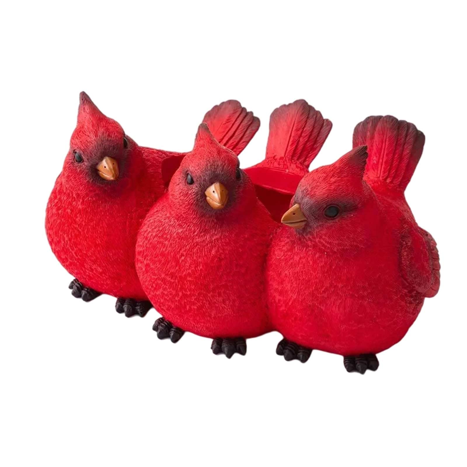 Amazon.com : DEDEMCO Cardinal Bird Succulent Pots Bonsai,Indoor Outdoor ...