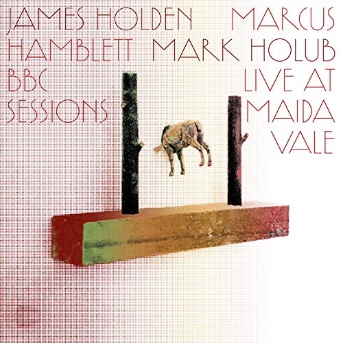 Amazon.com: BBC Sessions: Live at Maida Vale : James Holden, Marcus ...