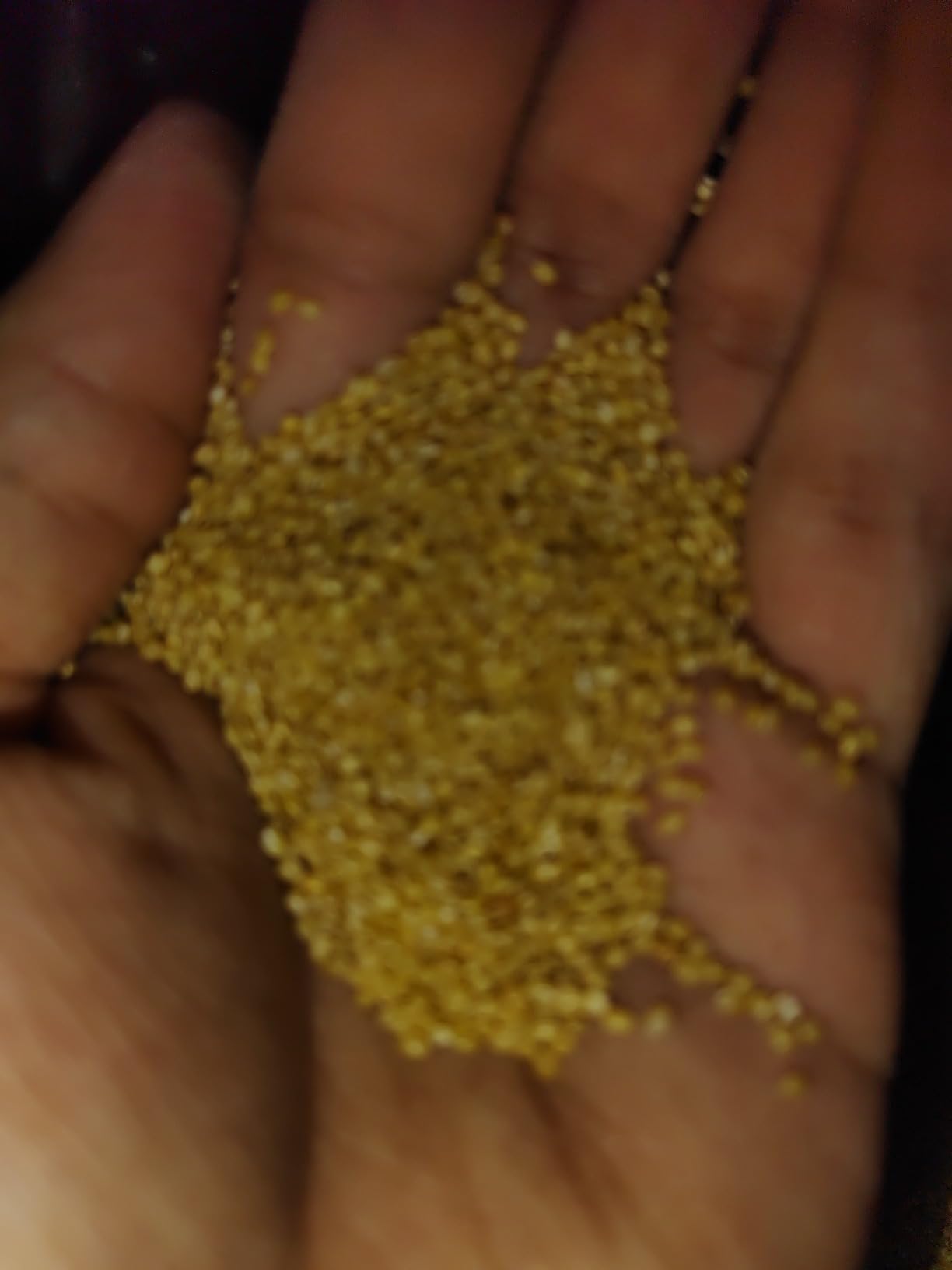 Jiwa Pure Foxtail Millet | Unpolished | Cooks In 15 Minutes | Positive ...