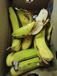 Fresh Banana Robusta, 500 g : Amazon.in: Grocery & Gourmet Foods