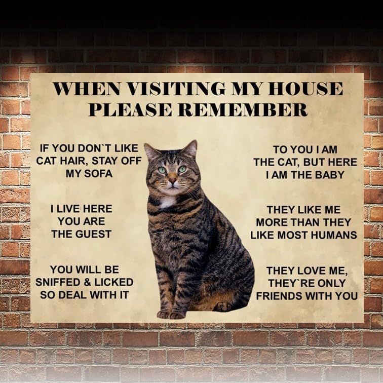 Funny Tabby Cat House Rules Metal wall sign. 20 x 15cm : Amazon.co.uk