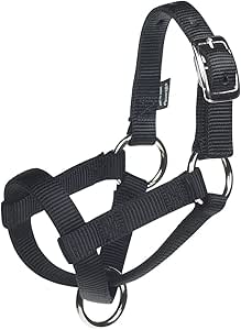 Amazon.com: Weaver Leather Goat Halter : Sports & Outdoors