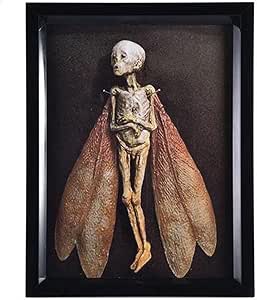 Amazon.com - SALUR Winged Dry Alien Ornament - Cursed Item Wooden Fairy ...