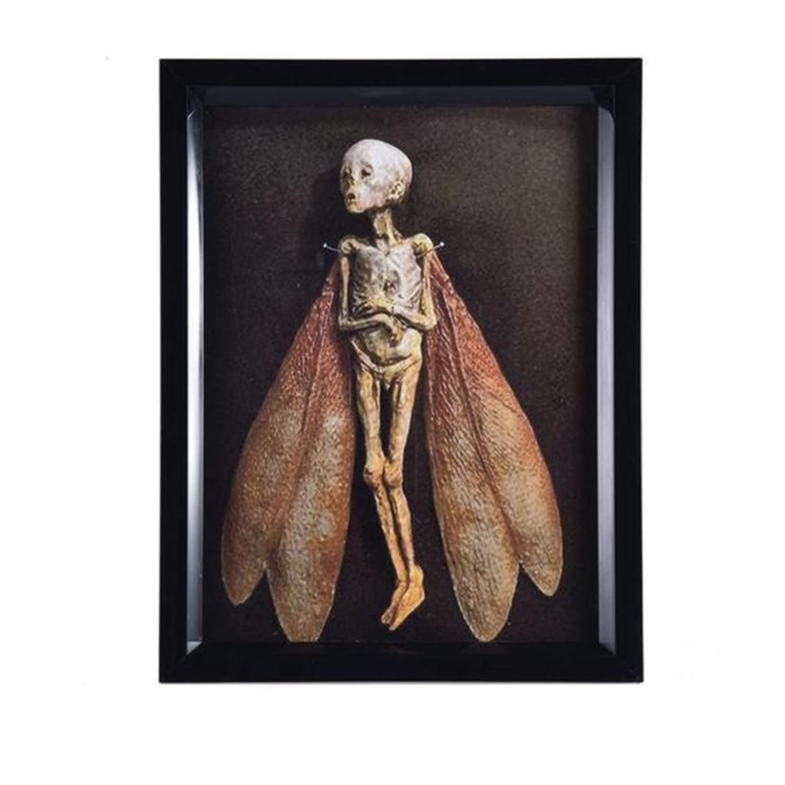 Amazon.com: SALUR Winged Dry Alien Ornament, Cursed Item - Wooden Fairy ...