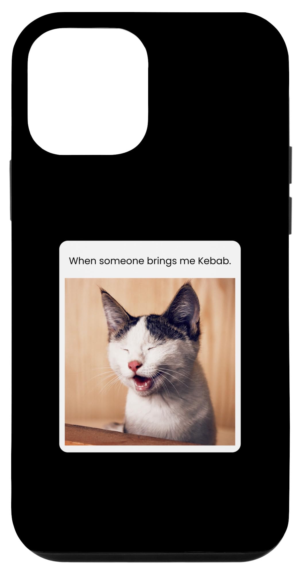 Kebab Cat Memes When You Get Invited Round For A Kebab And Someone