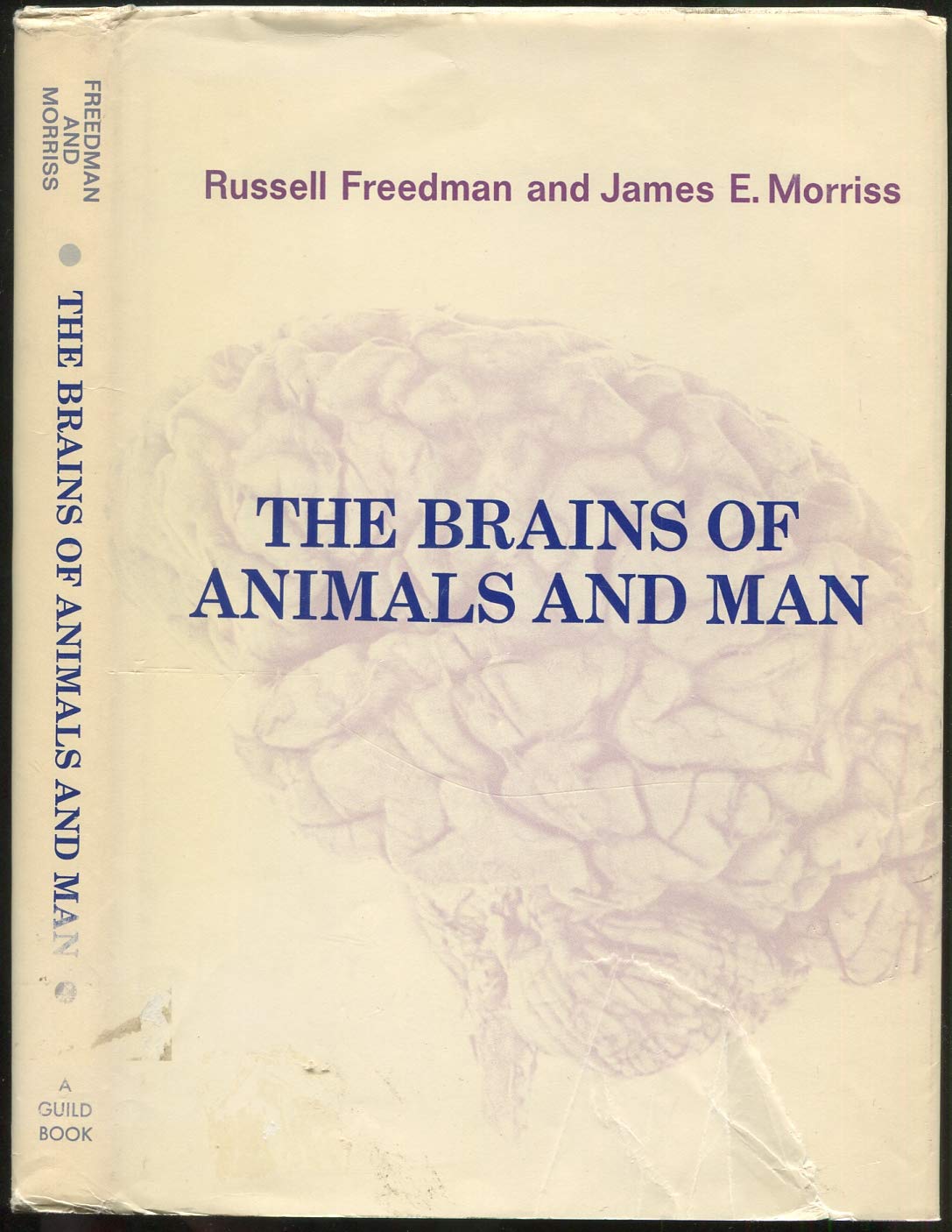 The brains of animals and man: Freedman, Russell: 9780823402052: Amazon ...
