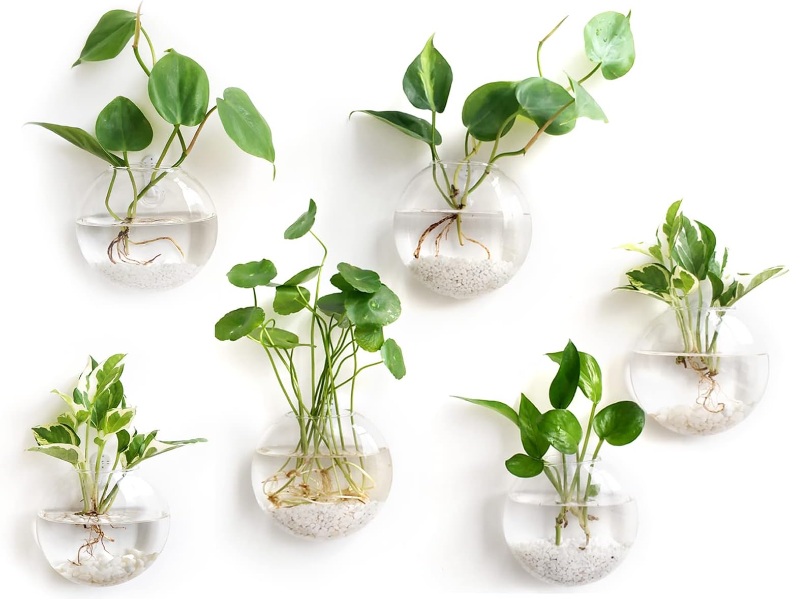Amazon.com: Renmxj Plant Propagation Station Tubes, 3 Tiered 15 Wall ...