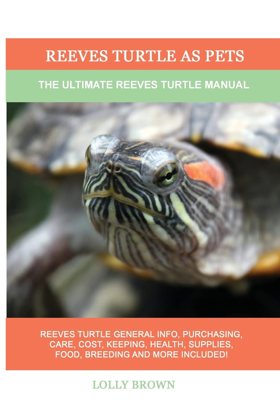 Buy Reeves Turtle as Pets: The Ultimate Reeves Turtle Manual Book ...