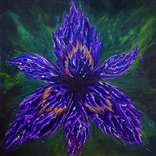 Play Louisiana iris by Jesse Rothstein on Amazon Music