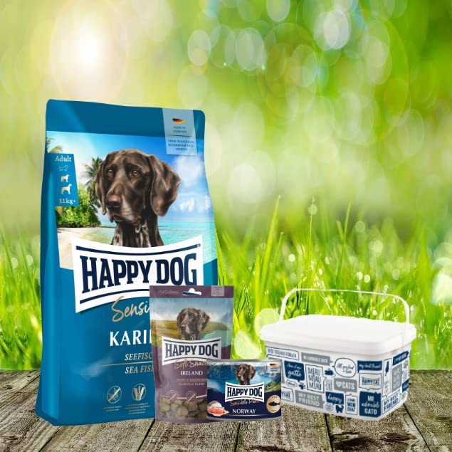Happy Dog Ireland – Die 16 besten Produkte im Vergleich ...