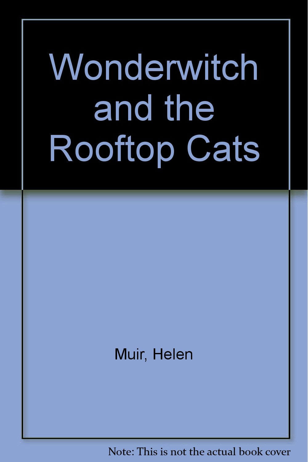 WONDERWITCH ROOFTOP CATS: YOUNG BOOKS: 9780750008853: Books - Amazon.ca