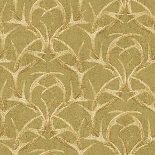 Field Guide Wallpaper FG36032 - Amazon.com