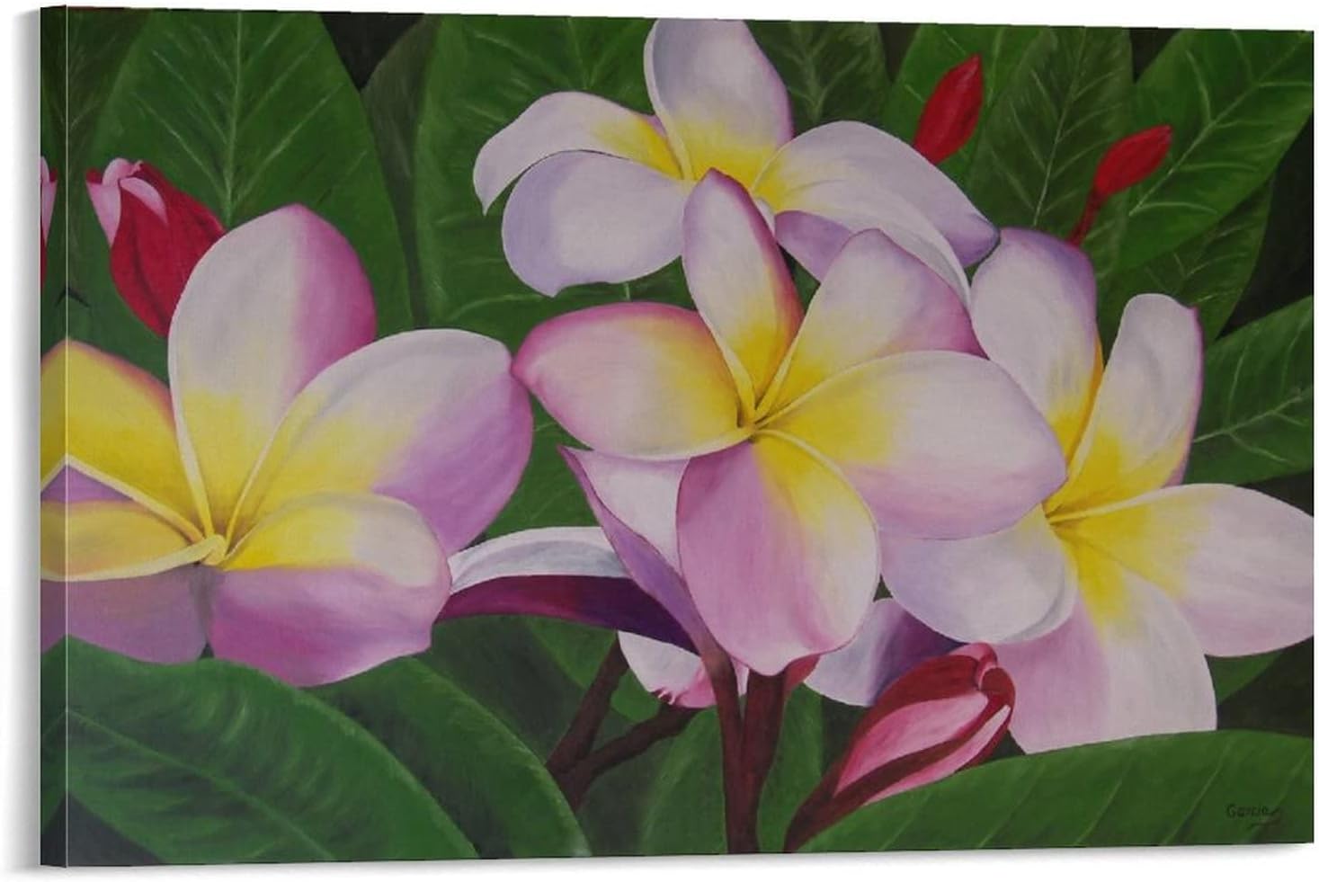 Amazon.com: Hawaii Plumeria Flowers Canvas Wall Art Frangipani Blossom ...