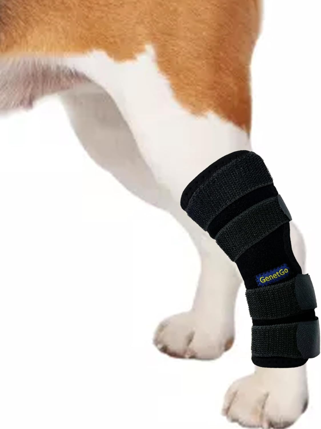 Amazon.com : GenetGo Dog Canine Rear Leg Hock Joint Brace Compression ...