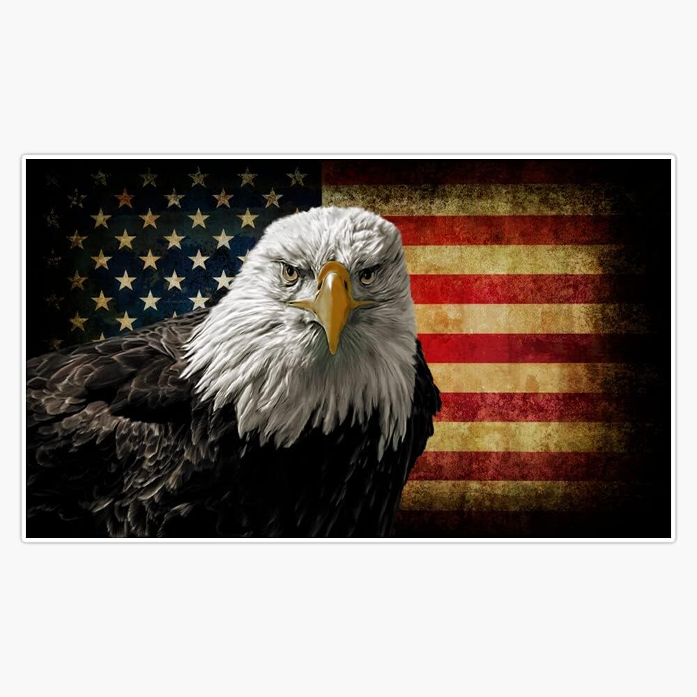 Amazon.com: BZ Trading American Bald Eagle On Grunge Flag Vinyl Decal ...