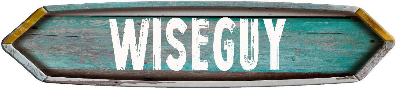 Amazon.com: WISEGUY Double point rustic teal color painted wood look novelty décor composite ...