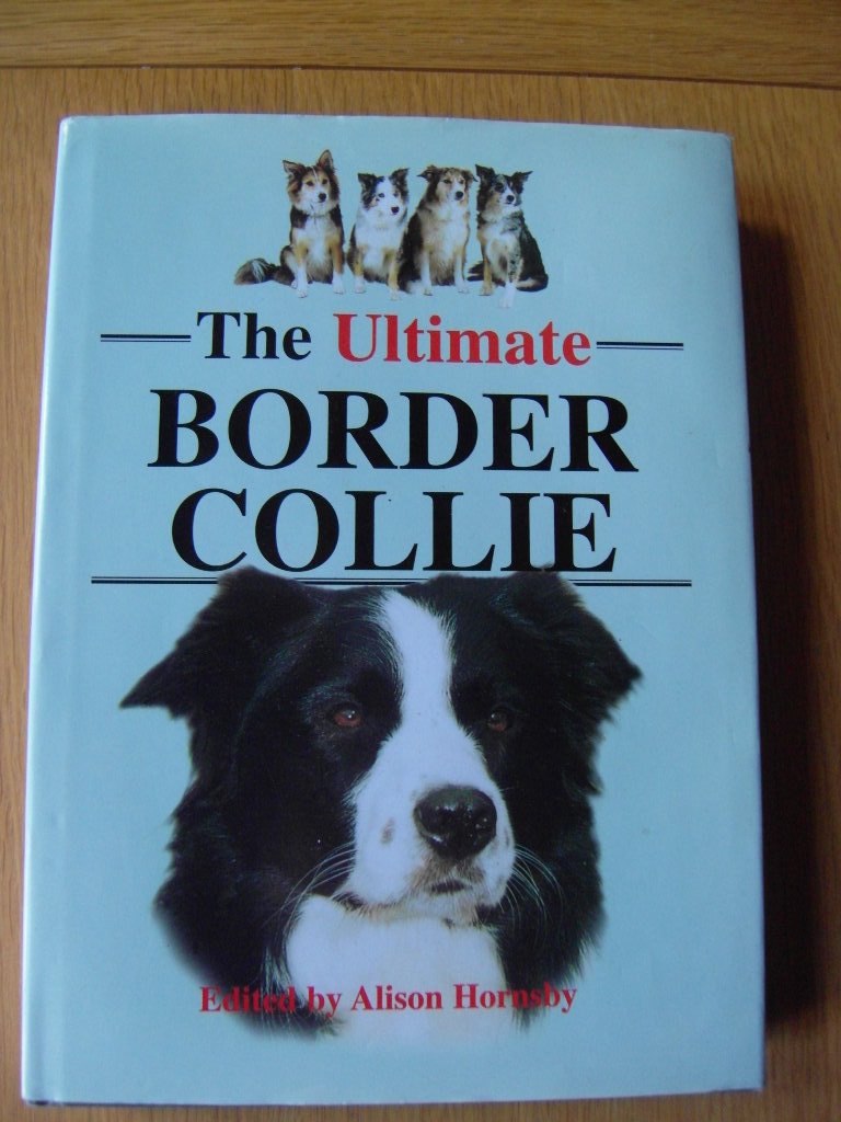 The Ultimate Border Collie: Hornsby, Allison: 9780876055892: Amazon.com ...