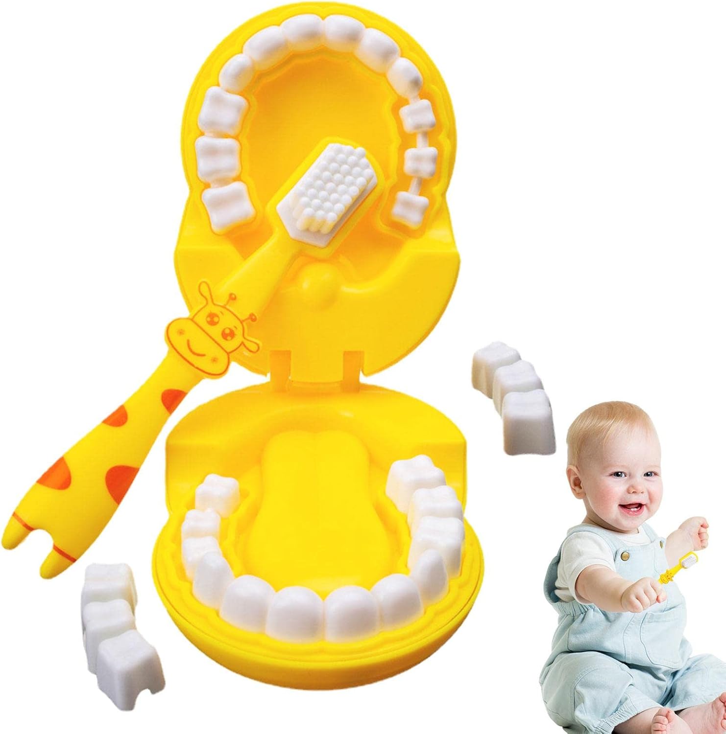 Giant Tooth Baderke Huge Mouth Model With Hinge And Giant Wisdom Teeth