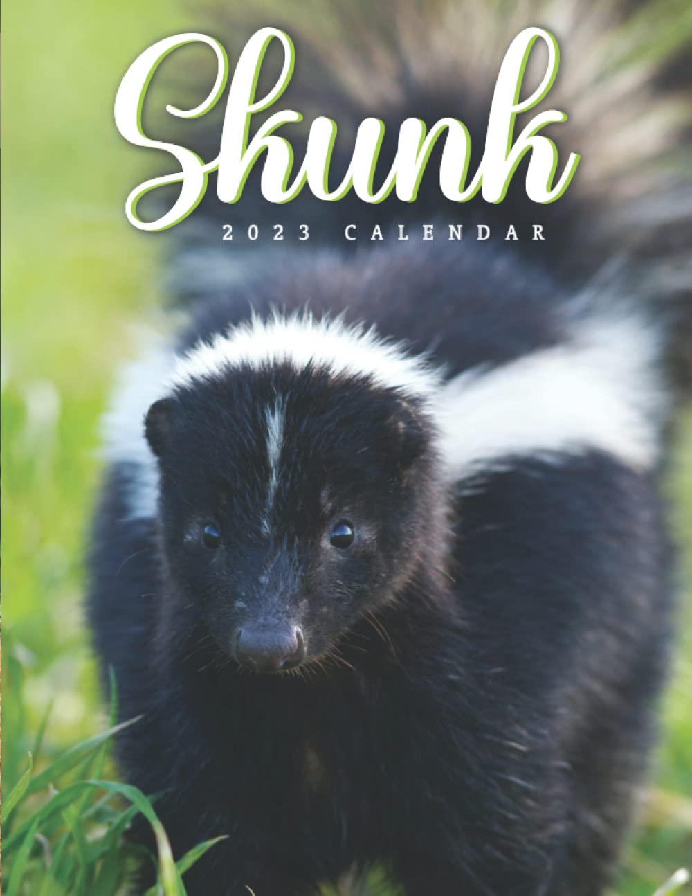 Skunk Calendar 2023: A Beautiful Photo Calendar from September 2022 to ...