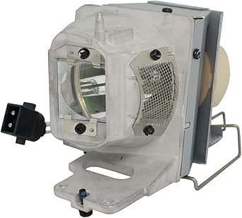 Amazon.com: Dekain Projector Lamp Replacement for BL-FP240G Optoma ...