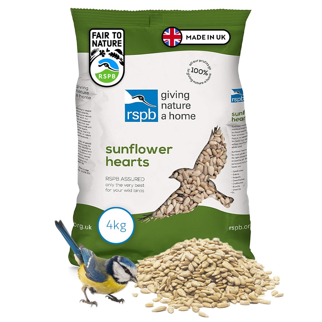 RSPB Sunflower Hearts Wild Bird Food 4kg, High in Energy & Protein ...