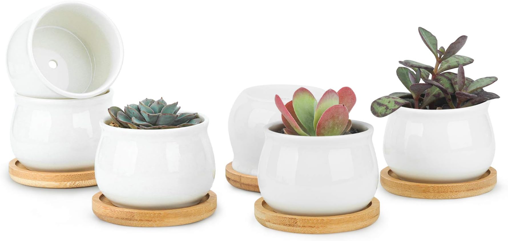 Amazon.com : 12 Sets Succulent Plant Pot Ceramic Succulent Pots ...