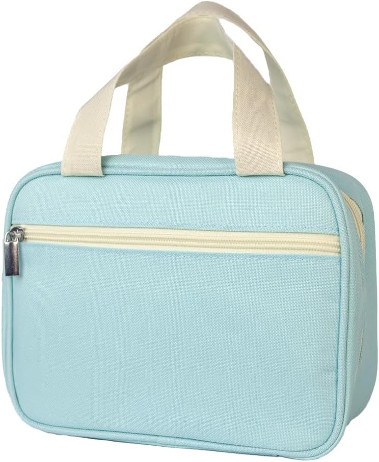 Amazon.com: LDS Quad or Triple & Bible Scripture Carrying Case - Light ...