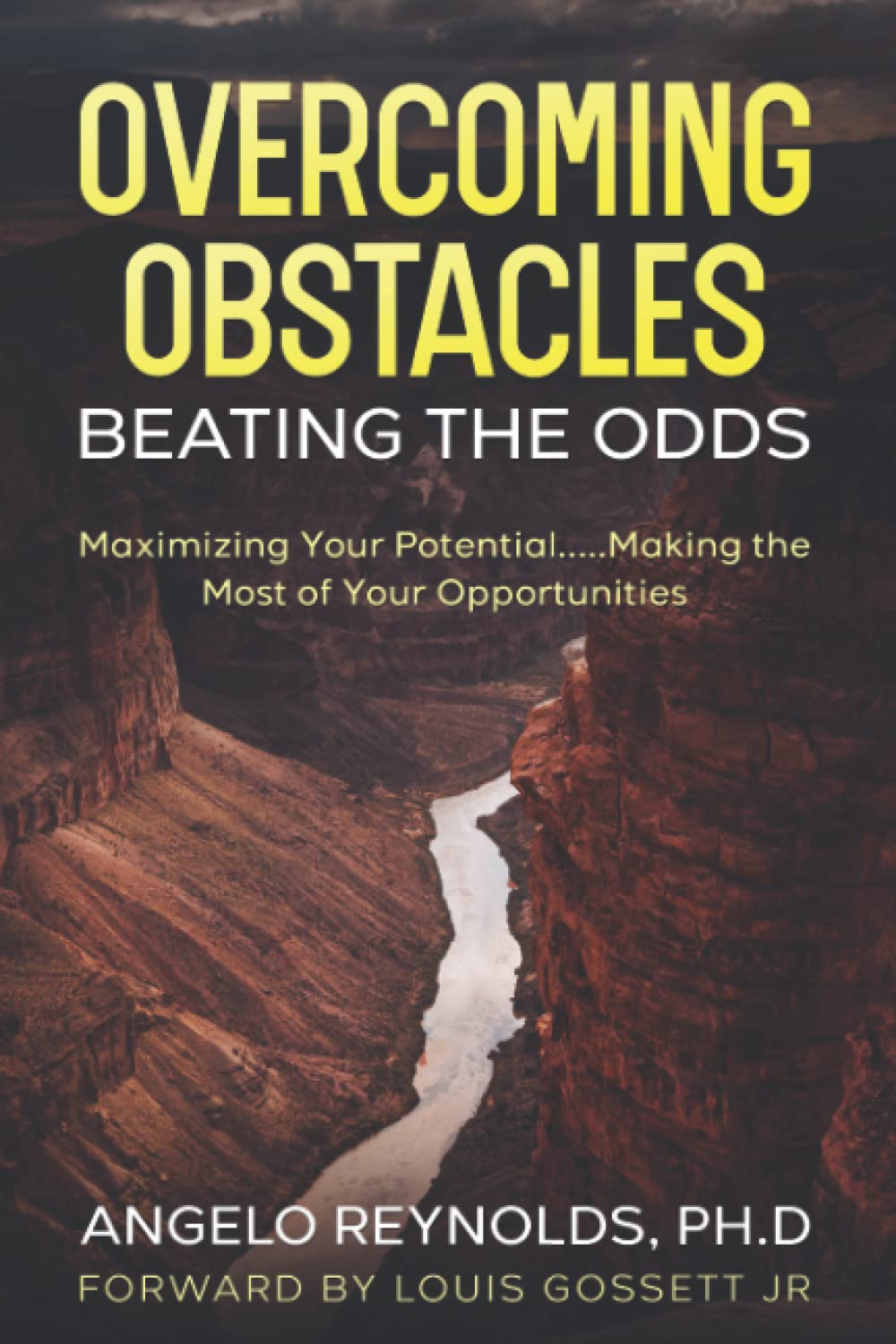 Overcoming Obstacles.....Beating The Odds!: "Maximize Your Potential ...