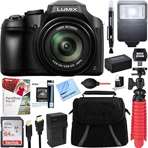 Amazon.com : PANASONIC Lumix FZ80 4K 18.1MP Point & Shoot Digital ...