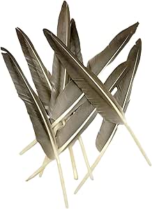 Amazon.com: 30PCS Grey Feathers 10-12in,Big Size Bilateral Natural Long ...