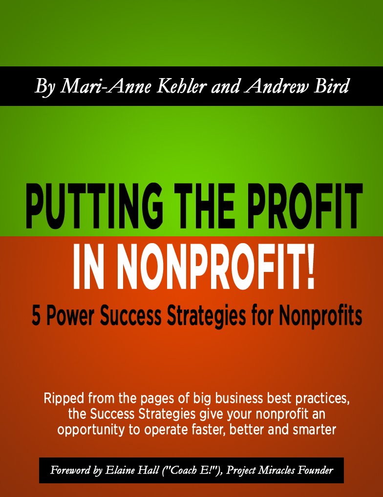 Amazon.com: Putting the Profit in Nonprofit: 5 Power Success Strategies ...