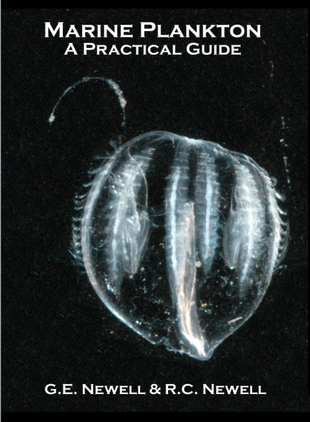 Plankton Meaning Marine Plankton A Practical Guide: Amazon.co.uk: