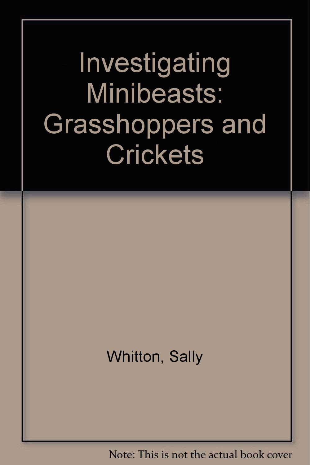 Investigating Minibeasts: Grasshoppers and Crickets: Whitton, Sally ...