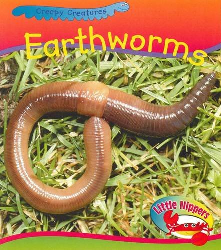 Worm: 9780431932637: Amazon.com: Books