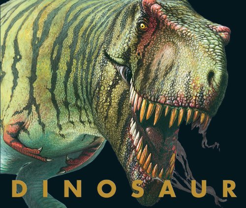DINOSAUR: Stansbie, Stephanie: 9780316035835: Amazon.com: Books